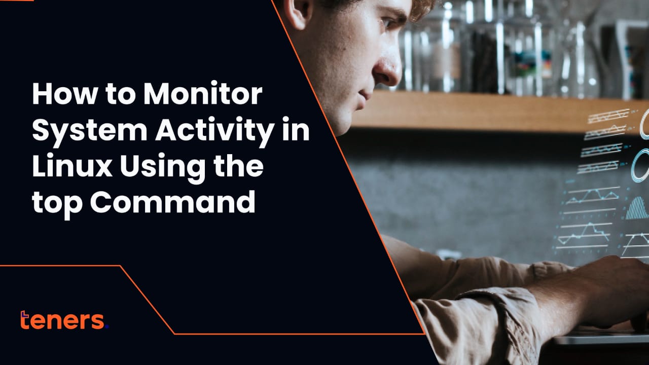 How to Monitor System Activity in Linux Using the `top` Command - n5us.com